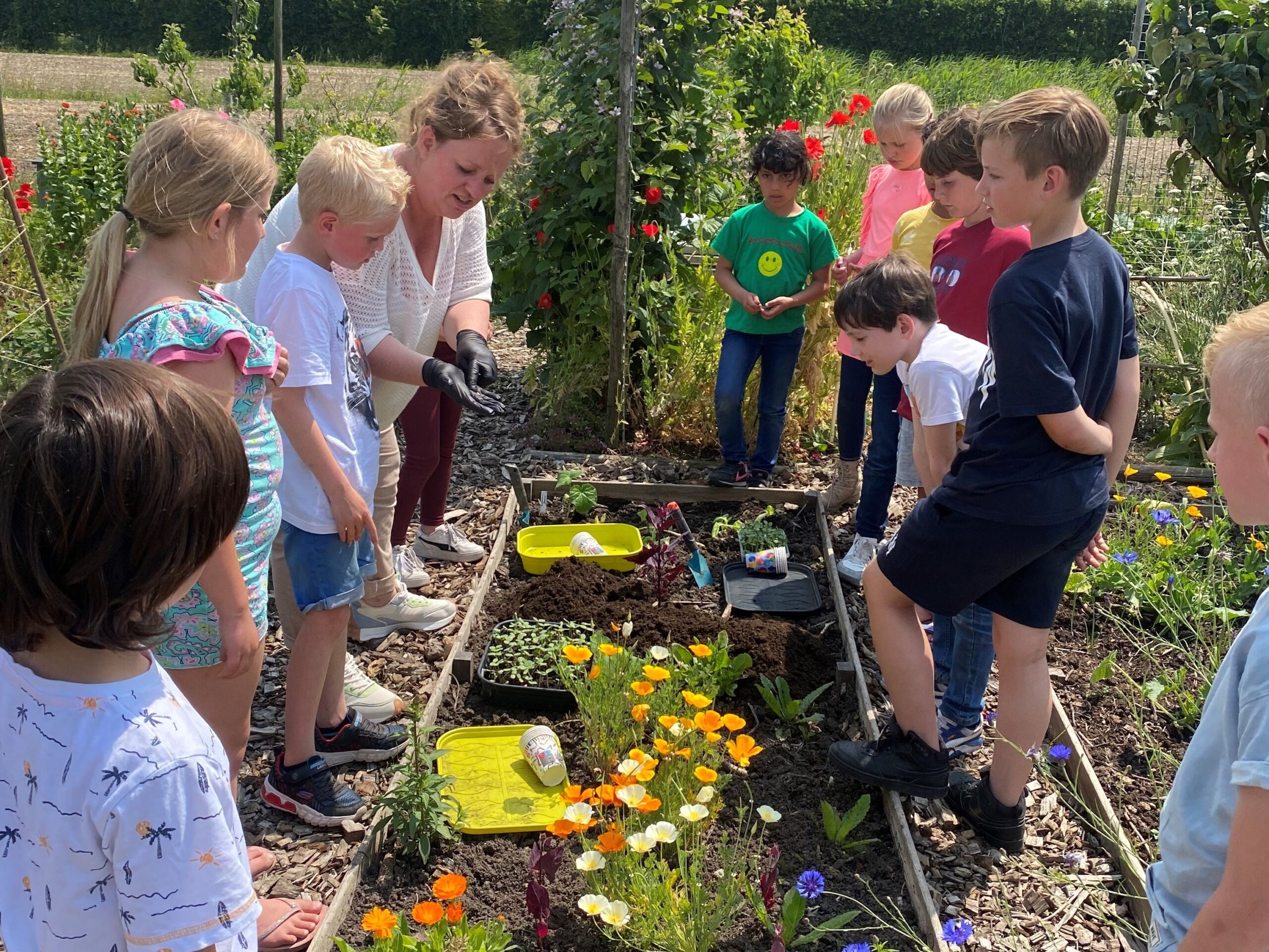 openbare basisschool Prinses Wilhelmina (PWS) (OBS) in Lexmond - O2A5